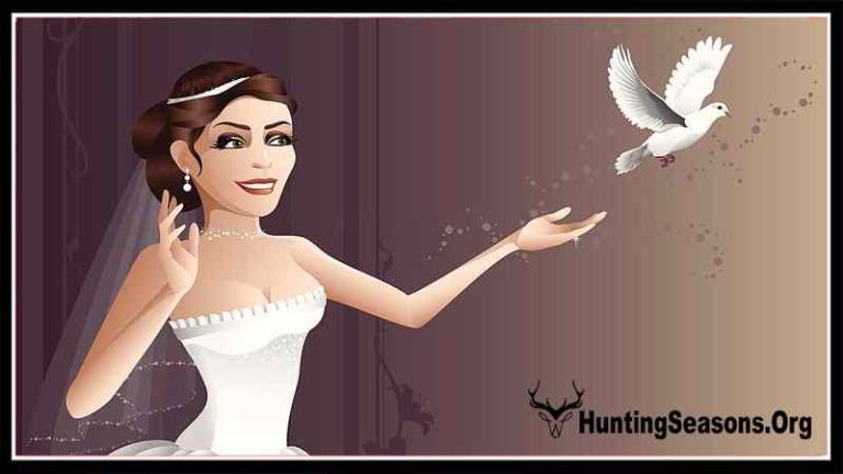 What is the Meaning of Releasing White Dove?